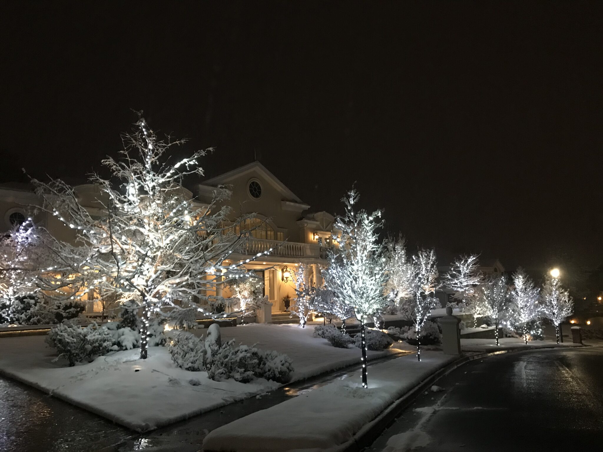 Happiness Is A Warm Blanket | Amy Rees Anderson's Blog